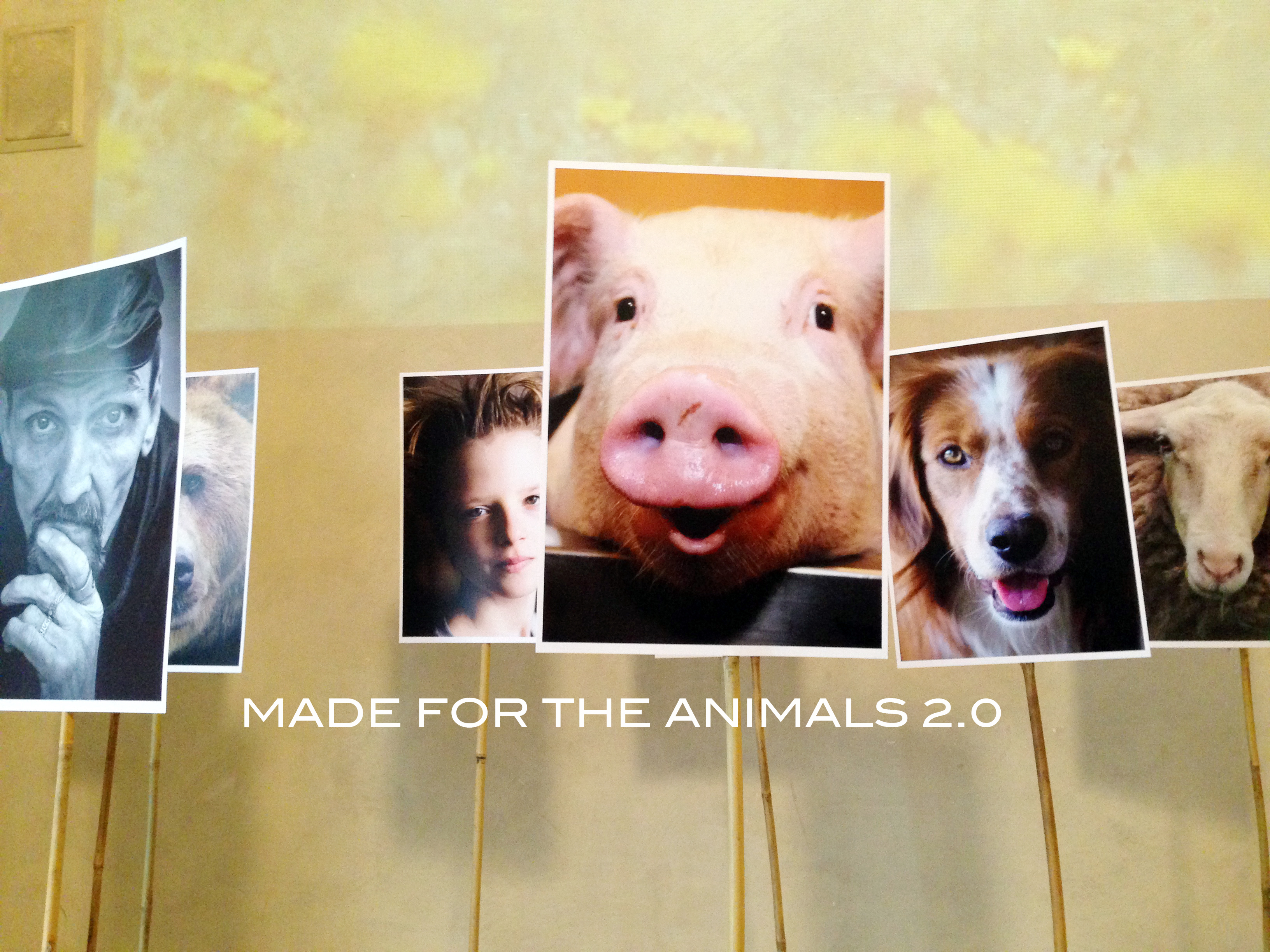 03 - Visit Florence News